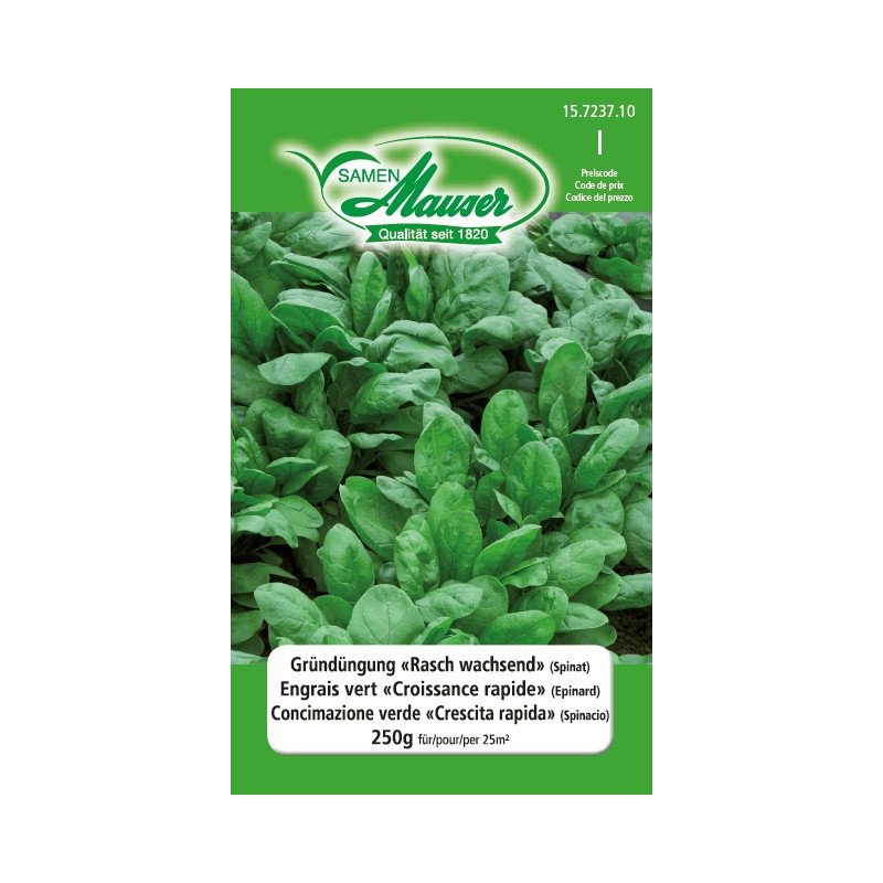 Gründüngung "Raschwachsend" 250 g (25 m2)(15723710)(Samen)